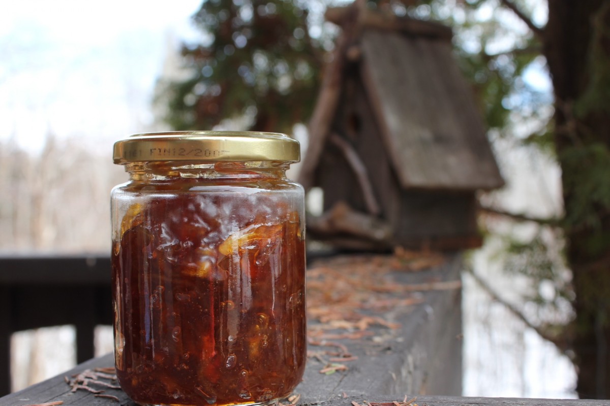 Pret klepu: sīrupi no tā, kas virtuvē – lēti un nekādas ķīmijas! – Puaro.lv